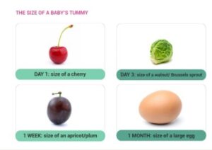 Small Tummies and Frequent Feeding – Birth in Grampian